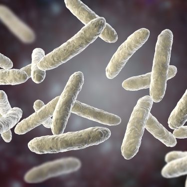 Lactobacillus gasseri - zdravotné benefity probiotík